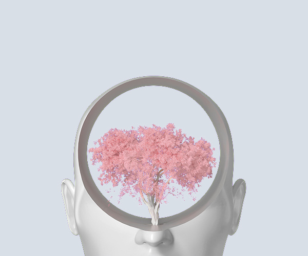 The TLL Method | The Learning Lab