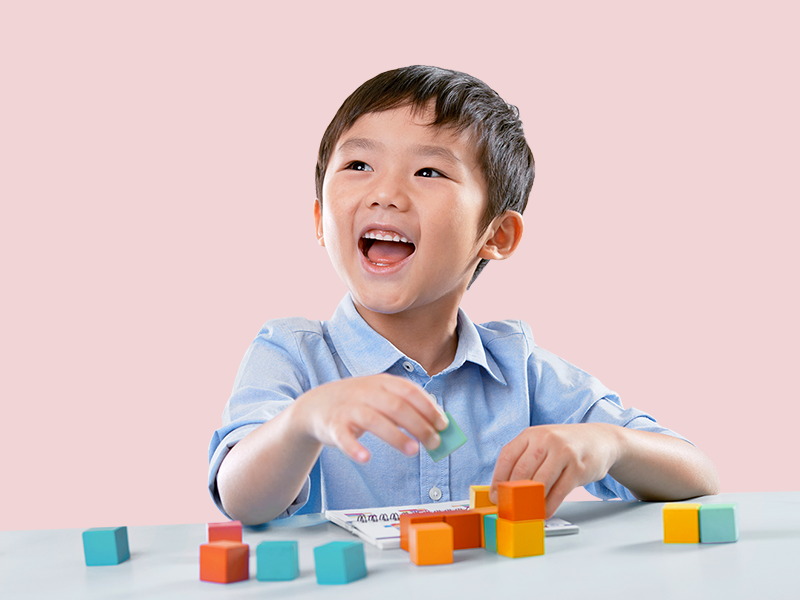 TLL Programme Booklets | The Learning Lab