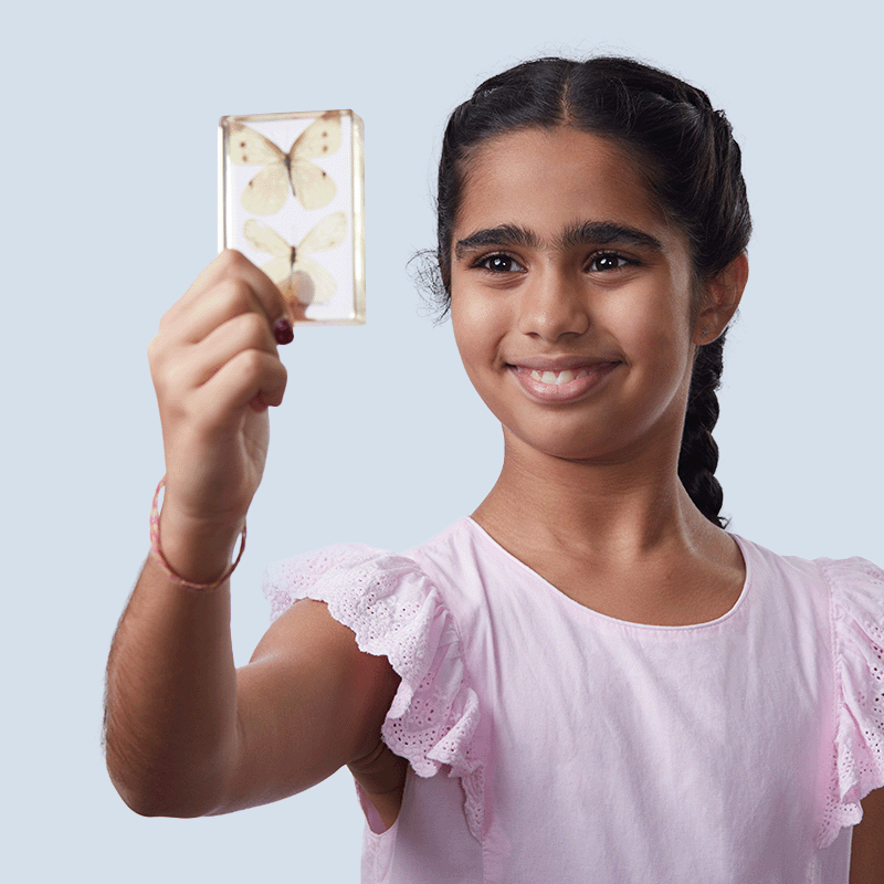 Prepare For Primary-1 | The Learning Lab