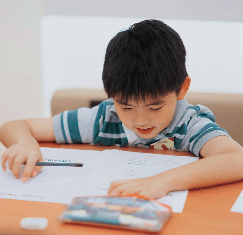 Primary 2 Tuition & Enrichment Programmes | The Learning Lab